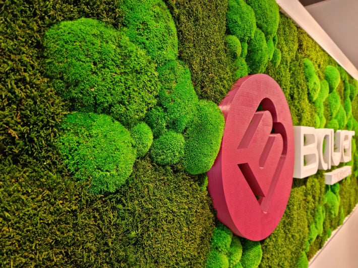 Mooswand: Natürliche Eleganz für Büro und Zuhause - Dream in Green