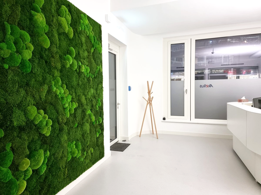 Mooswand: Natürliche Eleganz für Büro und Zuhause - Dream in Green