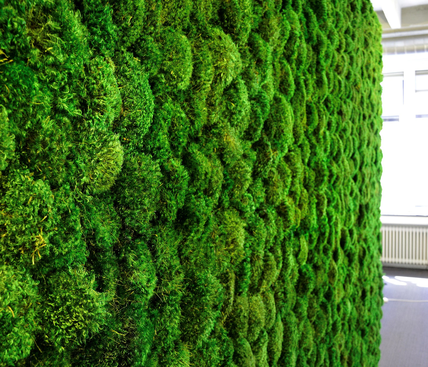 Mooswand: Natürliche Eleganz für Büro und Zuhause - Dream in Green