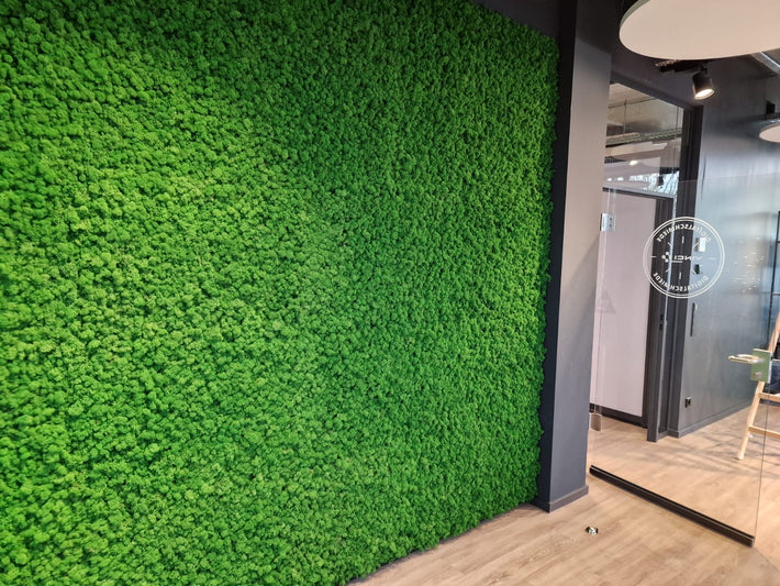 Mooswand: Natürliche Eleganz für Büro und Zuhause - Dream in Green