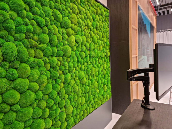 Mooswand: Natürliche Eleganz für Büro und Zuhause - Dream in Green