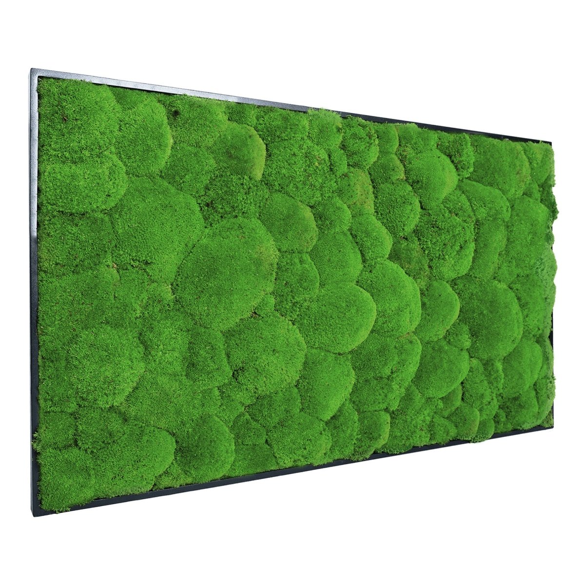 Kopie von Moosbild Hügelmoos Maßanfertigung - Dream in Green - Dream in ...