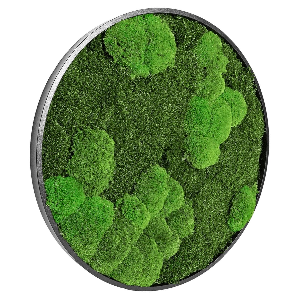 Moosbild Mixmoos 80cm Schwarz - Dream in Green - Dream in Green